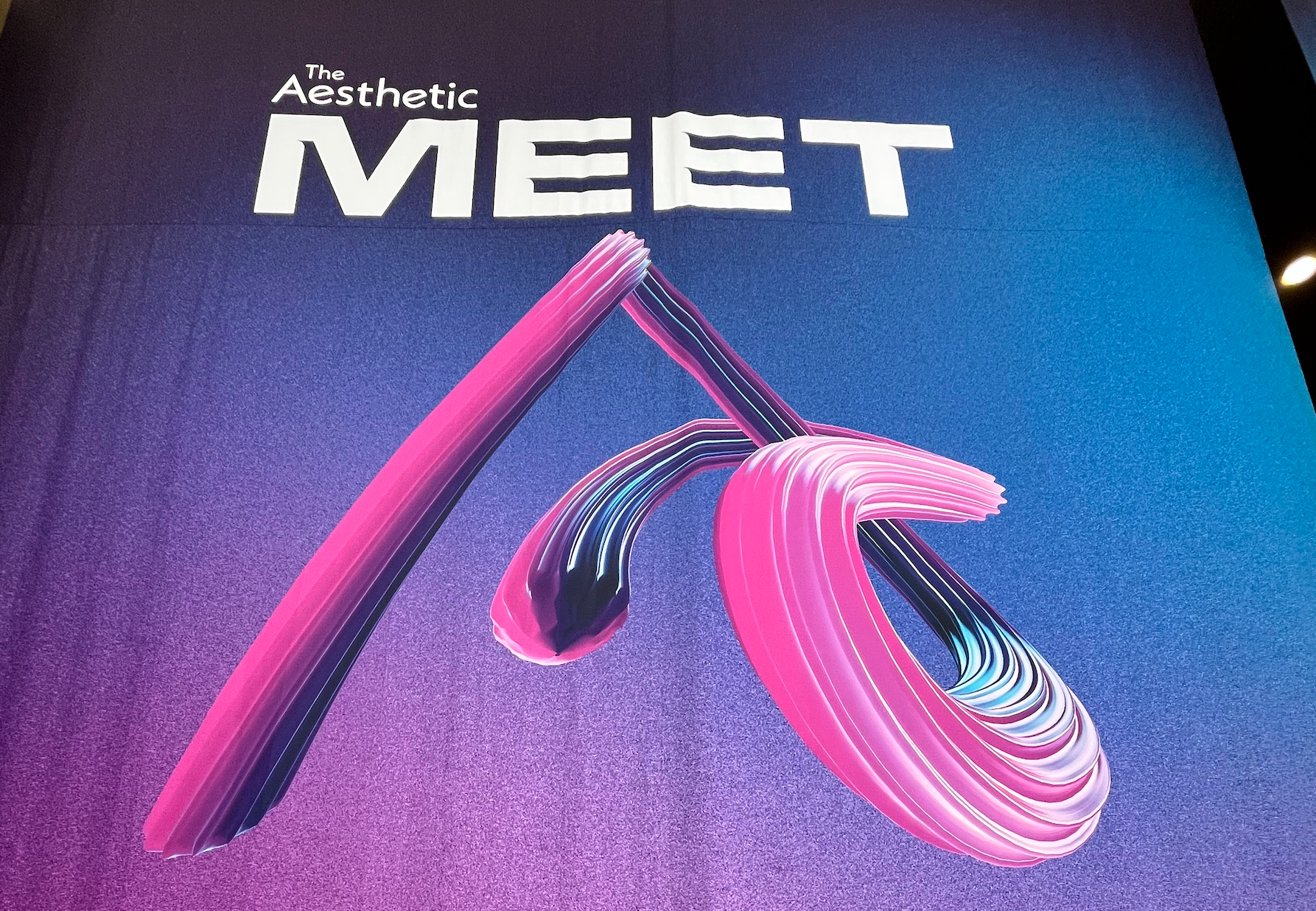 Catching Up: Our Time at The Aesthetic MEET 2025 — and What’s Next ...